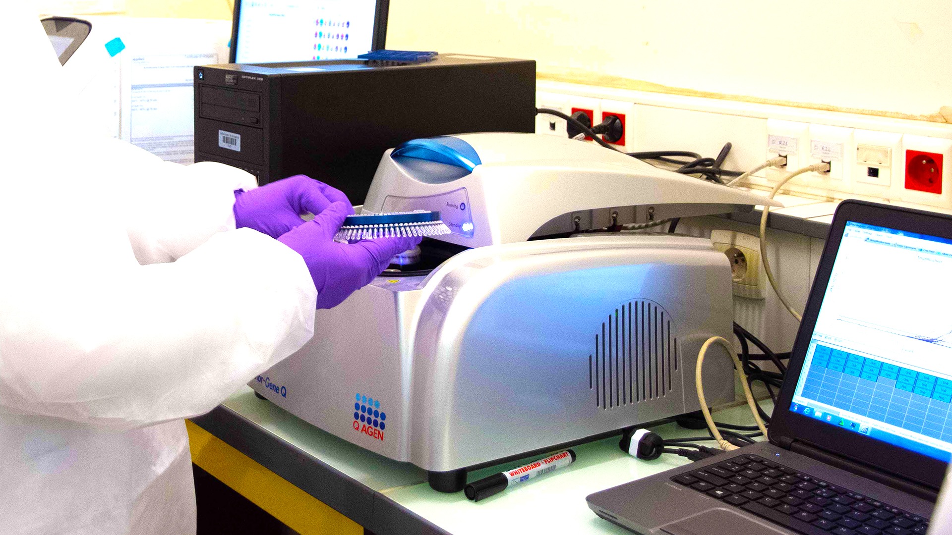 Les valeurs du cycle seuil de la RT-PCR reflètent la dynamique ...