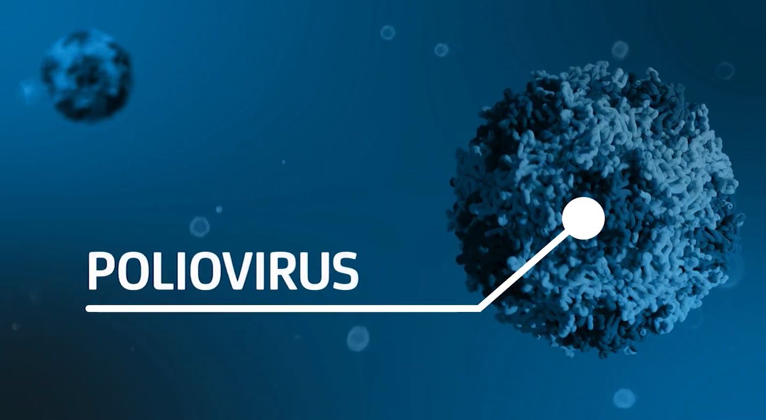 Journée mondiale de lutte contre la poliomyélite : retour en images sur ...